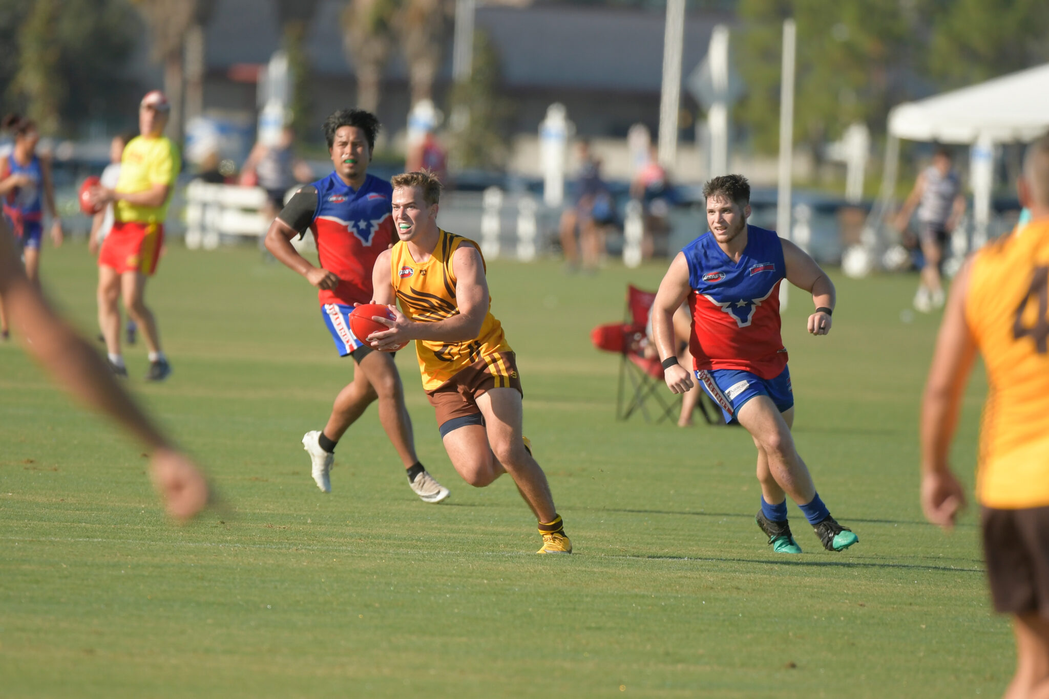 Get Ready for the USAFL Summer Regionals! - USAFL